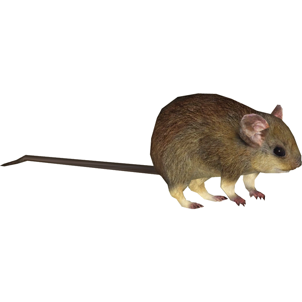 Greater Stick Nest Rat (Tamara Henson) | ZT2 Download Library Wiki | Fandom