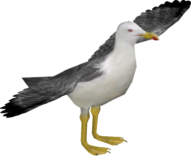Yellow-legged Gull (Zerosvalmont) | ZT2 Download Library Wiki | Fandom