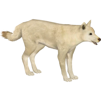 Kuri Dog (Tamara Henson) | ZT2 Download Library Wiki | Fandom