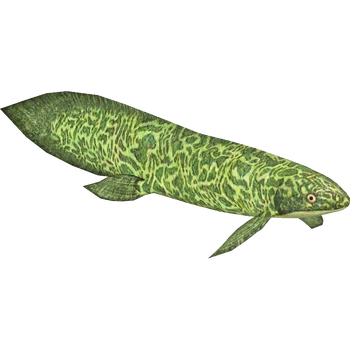 Triassic Lungfish (Zhadow) | ZT2 Download Library Wiki | Fandom
