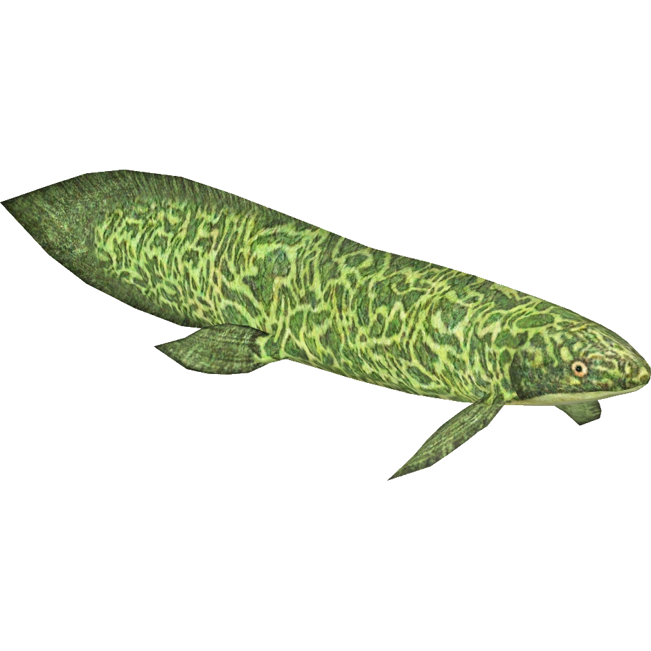Triassic Lungfish (Zhadow) | ZT2 Download Library Wiki | Fandom