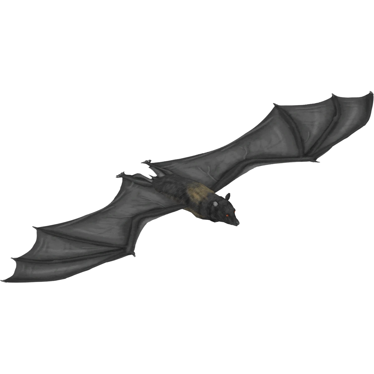 Livingstone's Flying Fox (LilyValley) | ZT2 Download Library Wiki | Fandom
