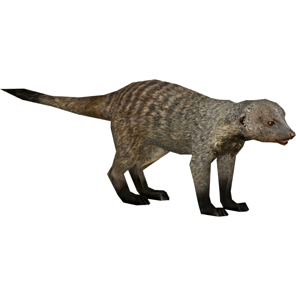 Category:Mongooses | ZT2 Download Library Wiki | Fandom