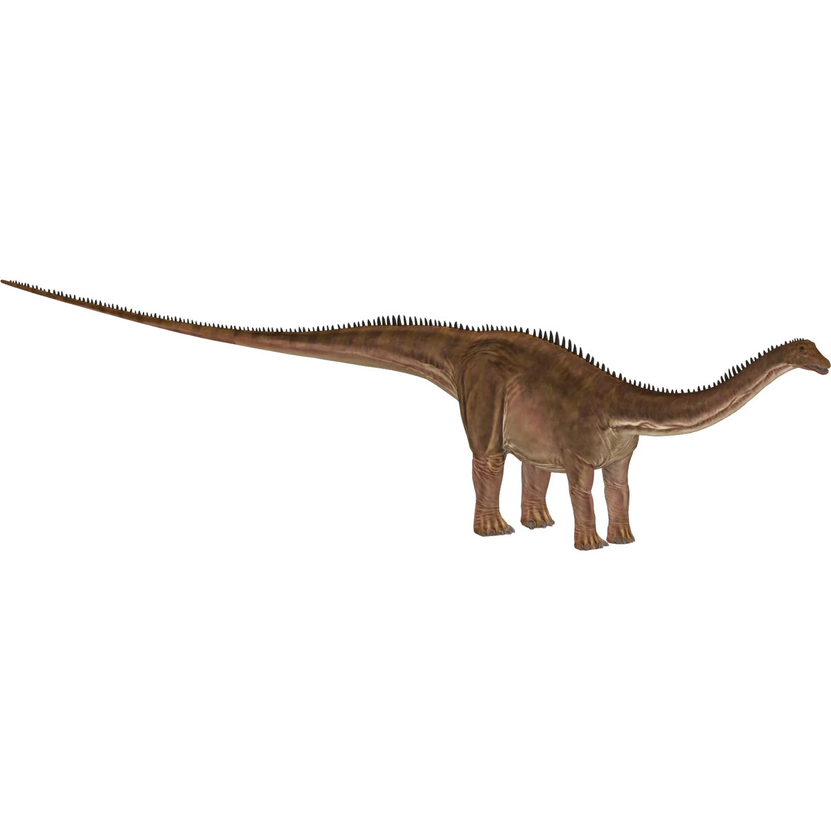 Jurassic World Diplodocus (Zoo Tycoon 2 Thailand) | ZT2 Download ...