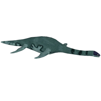 Kaiwhekea (Whalebite) | ZT2 Download Library Wiki | Fandom