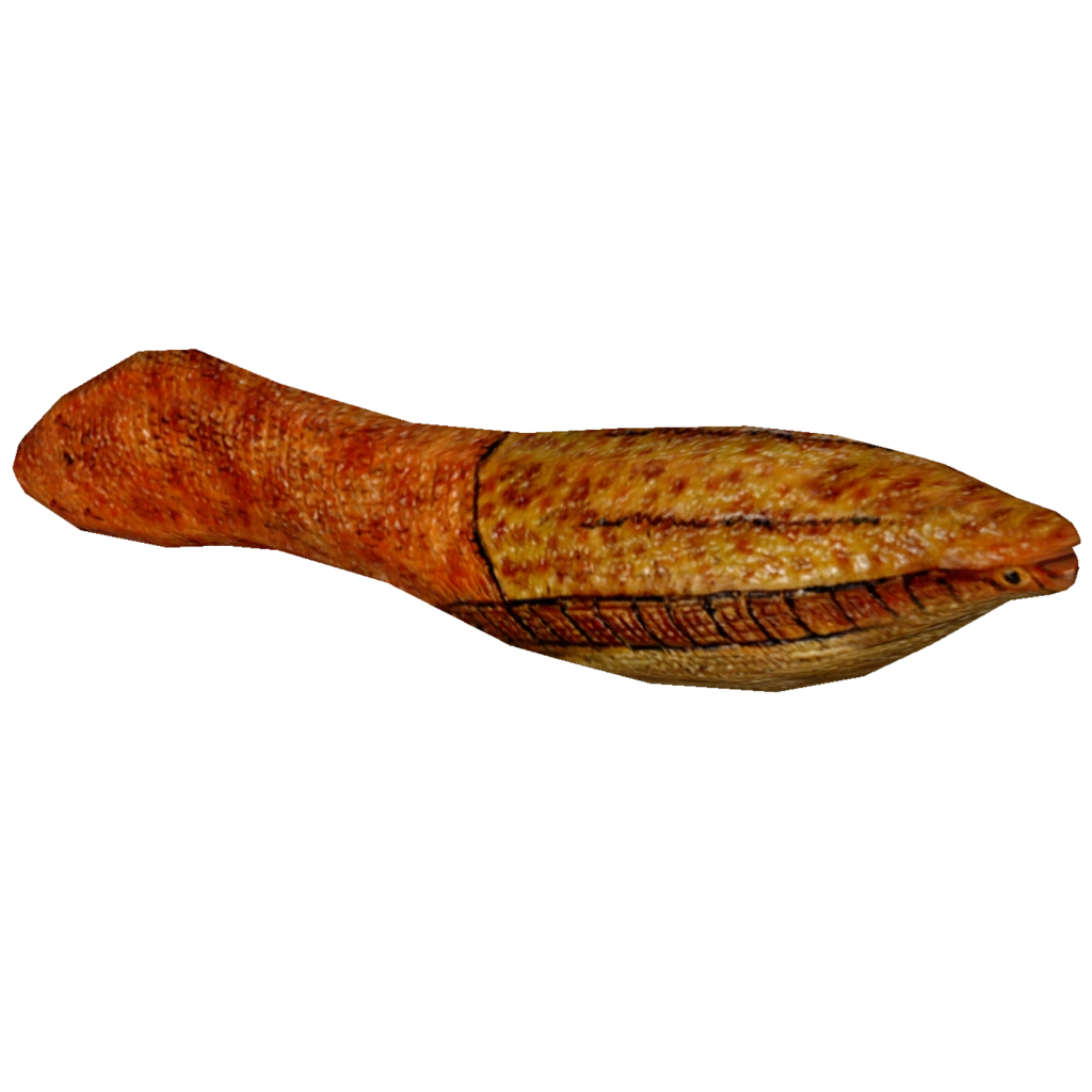 Category:Extinct Jawless Fish | ZT2 Download Library Wiki | Fandom
