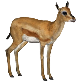 Chinkara (Tamara Henson) | ZT2 Download Library Wiki | Fandom