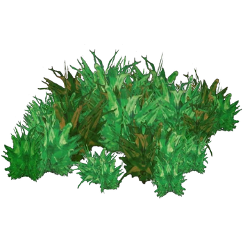 Java Fern (Artifex) | ZT2 Download Library Wiki | Fandom