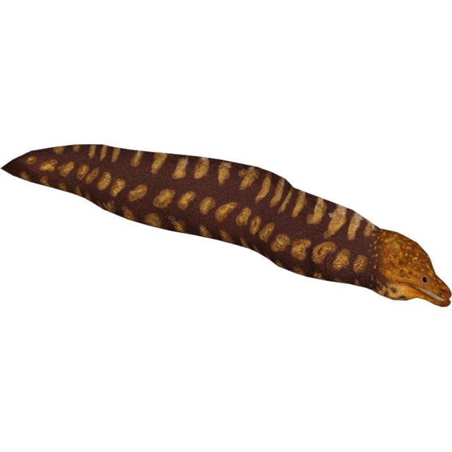 Fangtooth Moray (Ghost) | ZT2 Download Library Wiki | Fandom