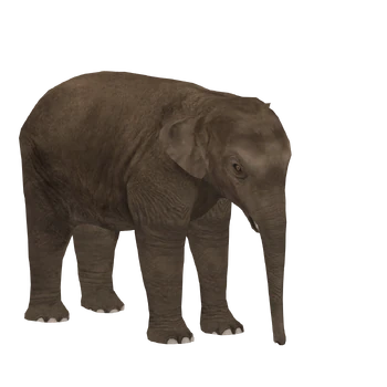 Trigonal-head Stegodon (Demon Hunter) | ZT2 Download Library Wiki | Fandom