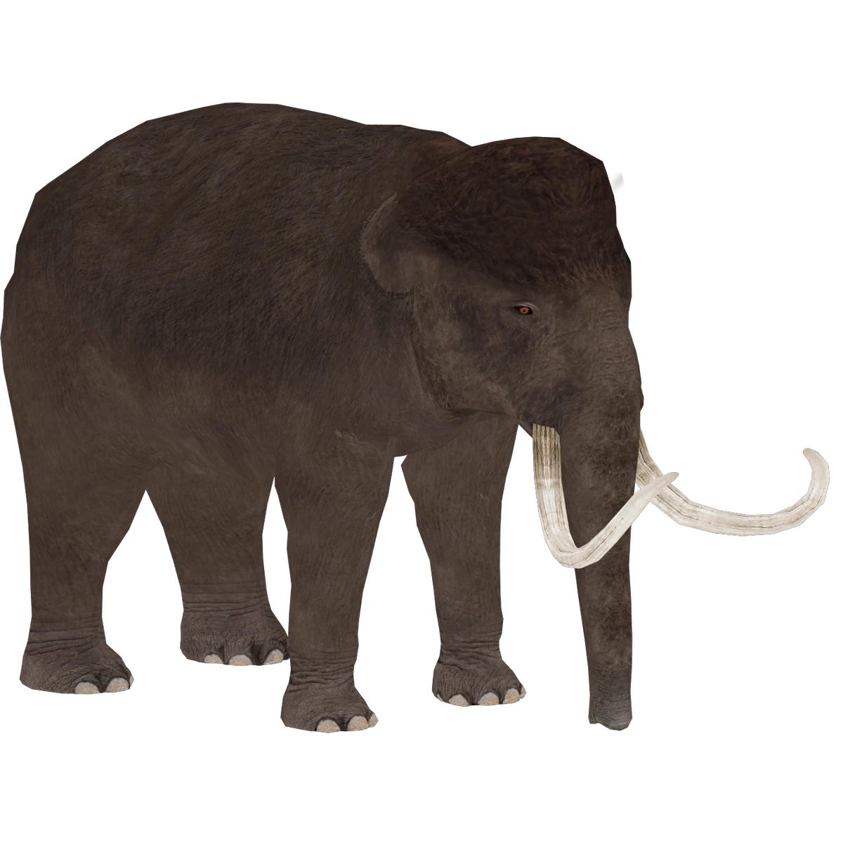 Dwarf Cretan Mammoth (Demon Hunter) | ZT2 Download Library Wiki | Fandom