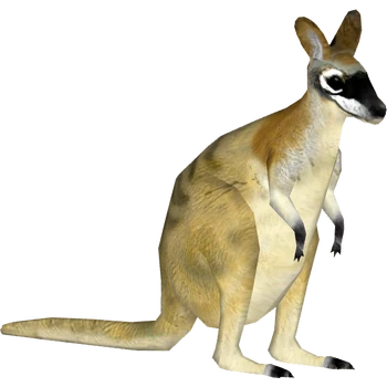 Toolache Wallaby (Tamara Henson) | ZT2 Download Library Wiki | Fandom