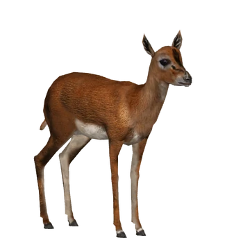Bates' Pygmy Antelope (Tamara Henson) | ZT2 Download Library Wiki | Fandom