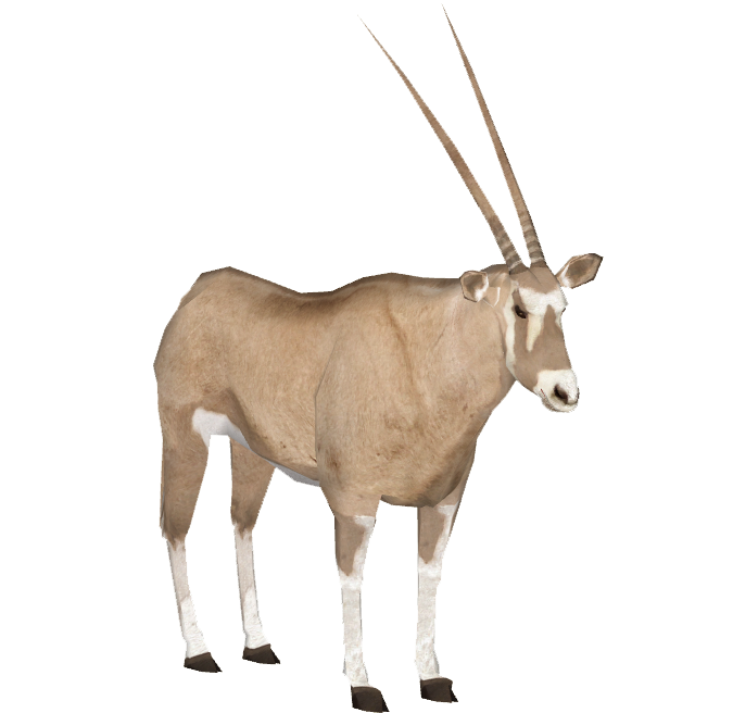 Gemsbok (slice) | ZT2 Download Library Wiki | Fandom Gemsbok (slice) | ZT2 Download Library Wiki | Fandom