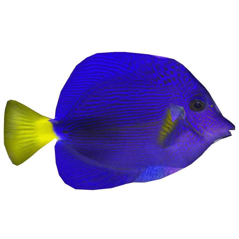 Purple Tang (DutchDesigns) | ZT2 Download Library Wiki | Fandom