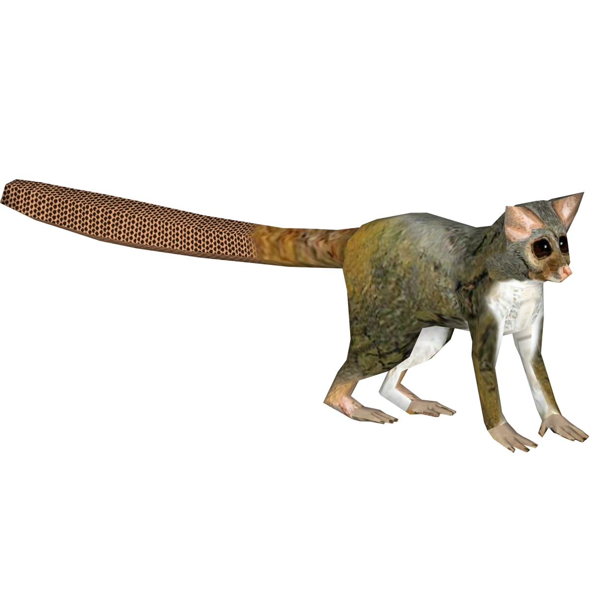 Scaly Tail Possum (Tamara Henson)/Version 1 | ZT2 Download Library Wiki ...