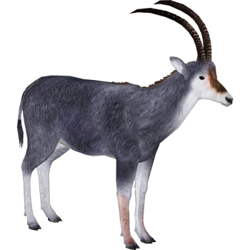 Bluebuck (Blue Fang) | ZT2 Download Library Wiki | Fandom