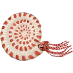 Category:Reef Animals - Extinct | ZT2 Download Library Wiki | Fandom