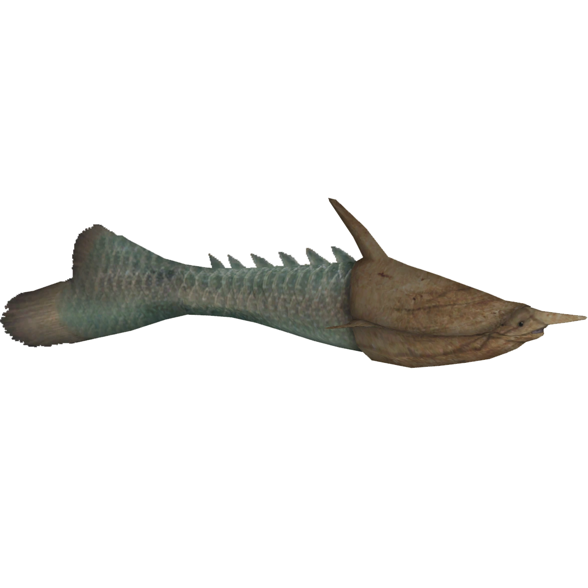 Pteraspis