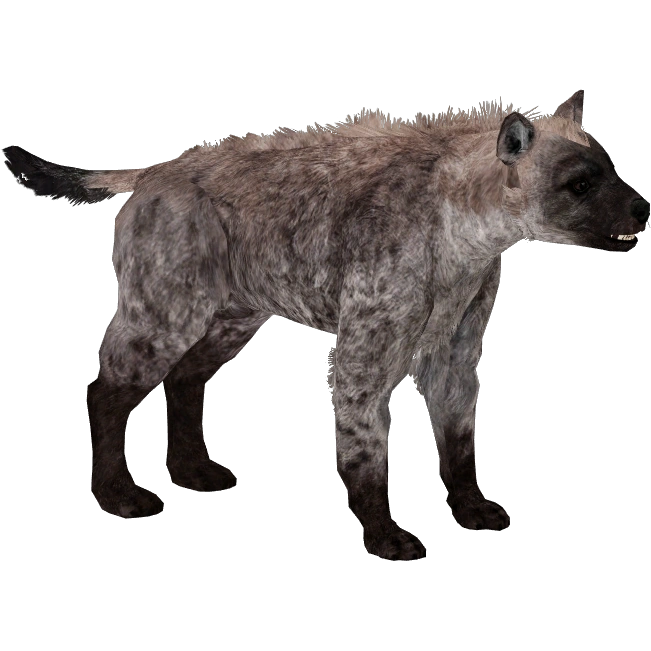 Cave Hyena (UnusMultorum) | ZT2 Download Library Wiki | Fandom