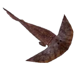 Category:Imago | ZT2 Download Library Wiki | Fandom