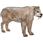 Category:Extinct Cats | ZT2 Download Library Wiki | Fandom