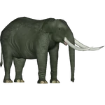 Category:Stegodonts | ZT2 Download Library Wiki | Fandom