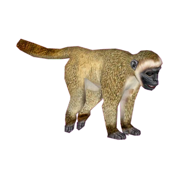 Vervet Monkey (Tamara Henson) | ZT2 Download Library Wiki | Fandom