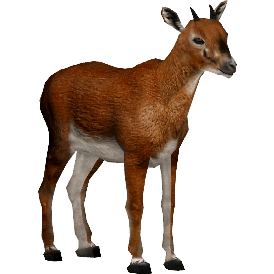 Bates' Pygmy Antelope (Tamara Henson) | ZT2 Download Library Wiki | Fandom