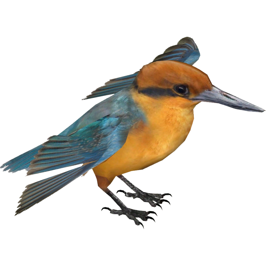 Guam Kingfisher (Whalebite) | ZT2 Download Library Wiki | Fandom
