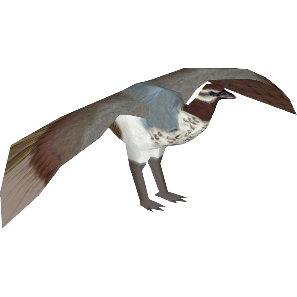 White-breasted Mesite (Jannick) | ZT2 Download Library Wiki | Fandom