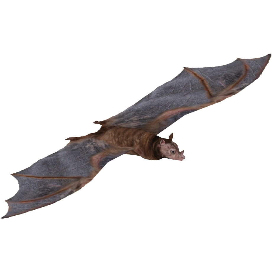 Spectral Bat (Tamara Henson) | ZT2 Download Library Wiki | Fandom