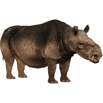 Chilotherium (Eryel) | ZT2 Download Library Wiki | Fandom