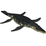 Category:Reef Animals - Extinct | ZT2 Download Library Wiki | Fandom