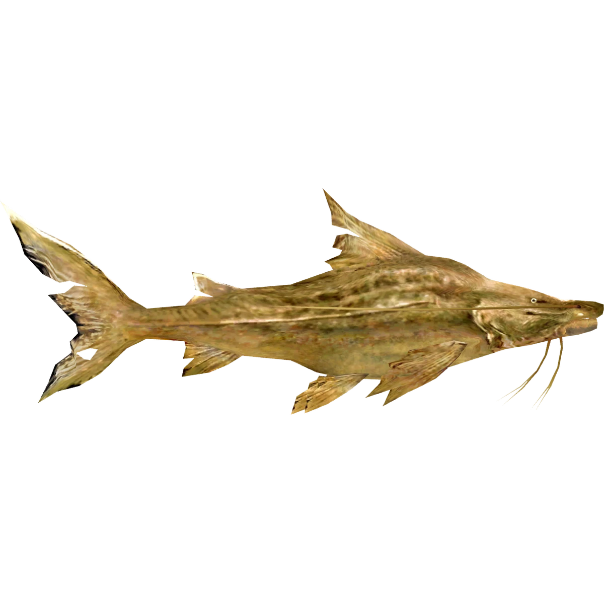Golden Catfish (Dycki1231) | ZT2 Download Library Wiki | Fandom