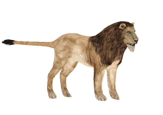 Lion (Tyranachu)/Version 1 | ZT2 Download Library Wiki | Fandom