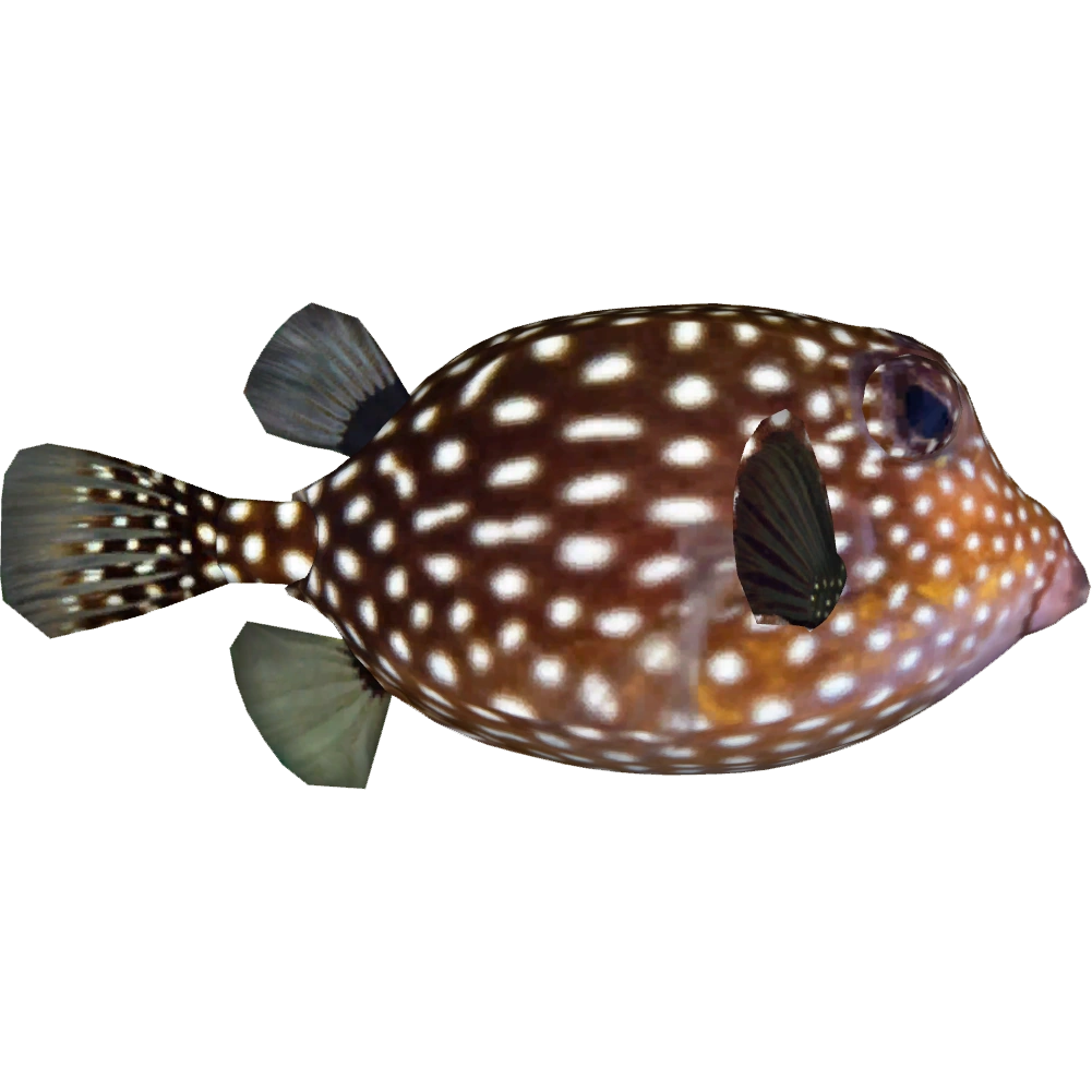 Spotted Boxfish (Dycki1231) | ZT2 Download Library Wiki | Fandom