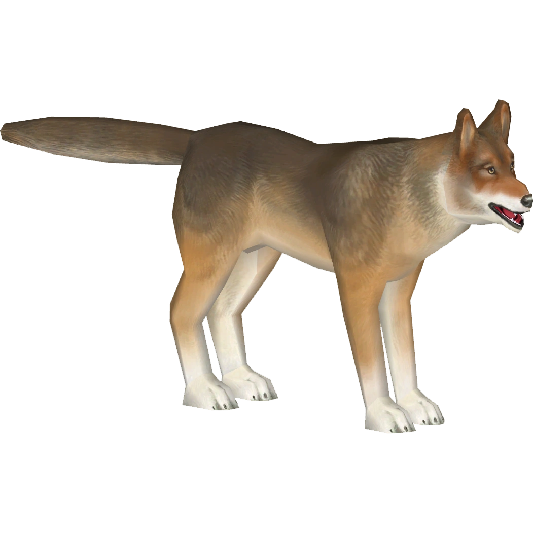 Eurasian Wolf (Stormy) | ZT2 Download Library Wiki | Fandom