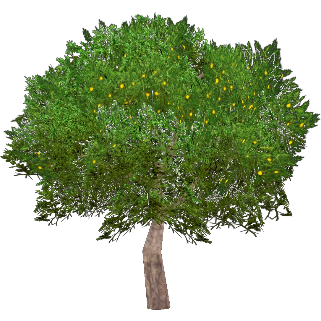 White Gul Mohur (NanoLancensis) | ZT2 Download Library Wiki | Fandom