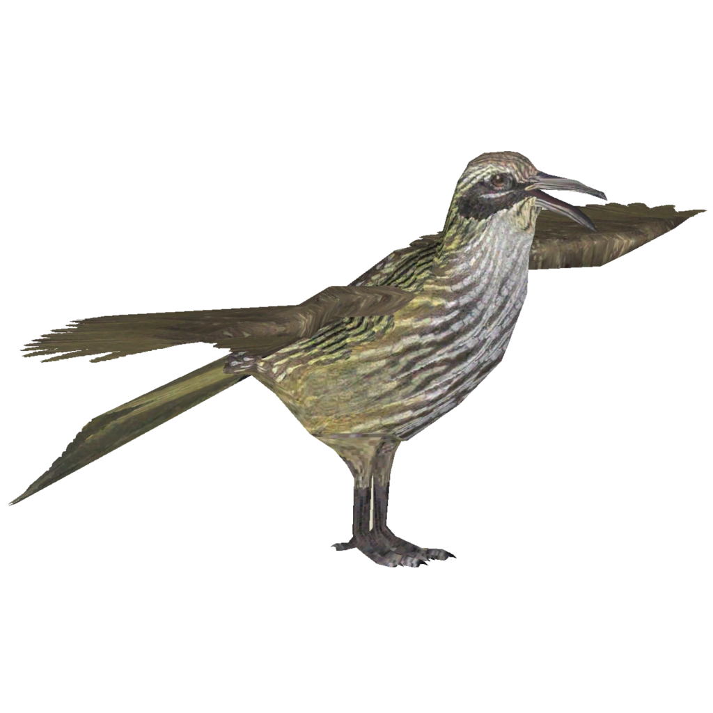 Kioea (Ringo) | ZT2 Download Library Wiki | Fandom