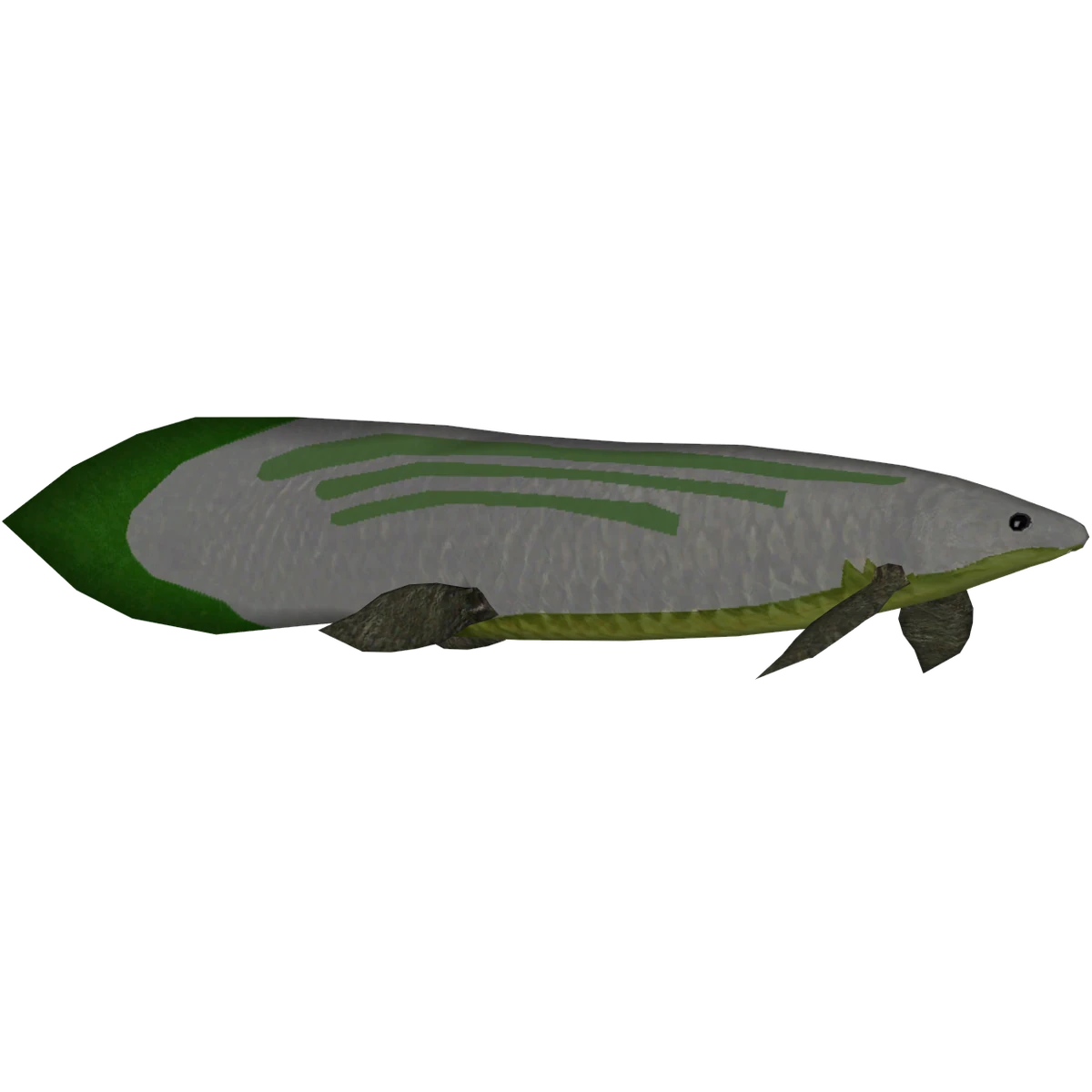 Category:Paleo Fish (The Dark Phoenix) | ZT2 Download Library Wiki | Fandom