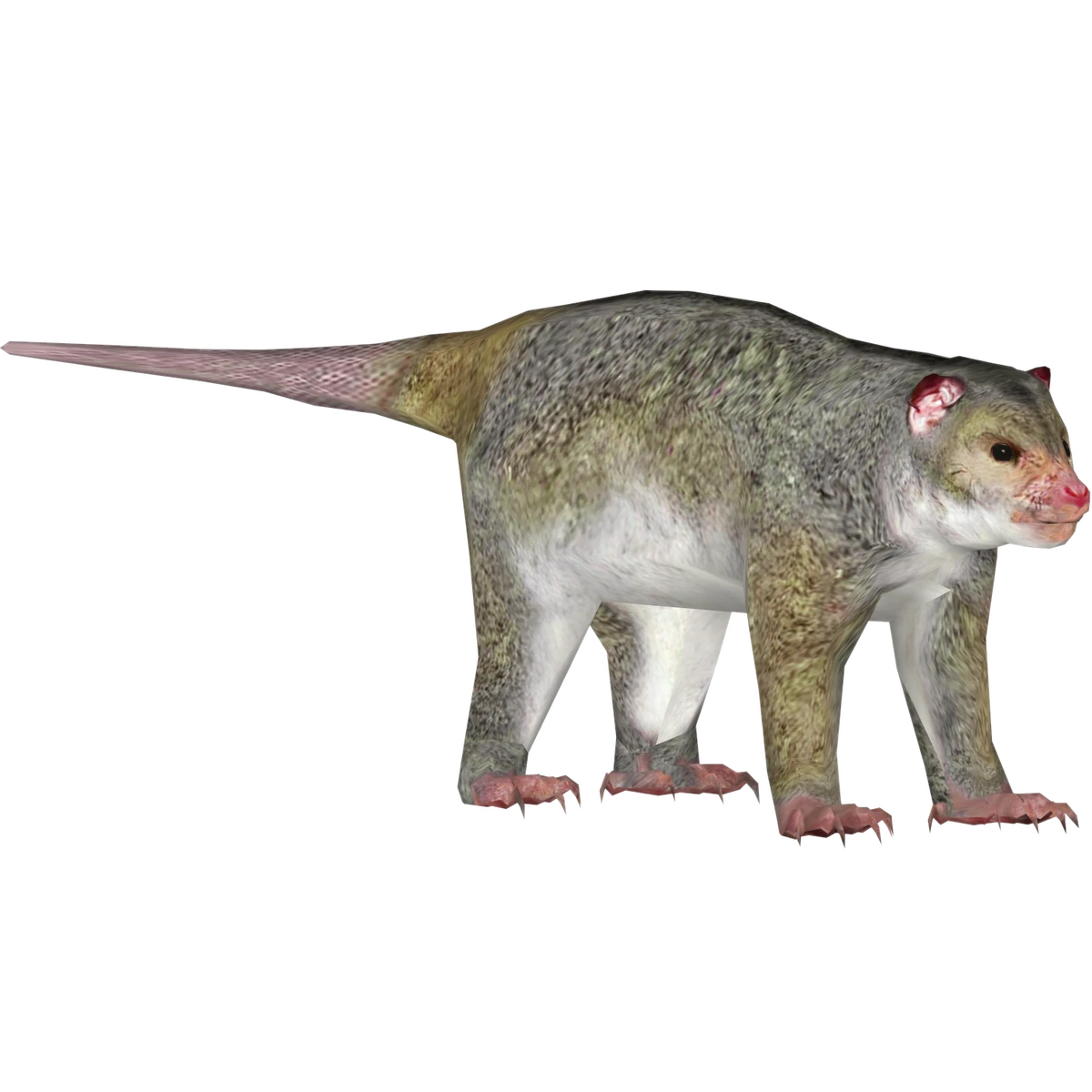Scaly Tail Possum (Tamara Henson) | ZT2 Download Library Wiki | Fandom