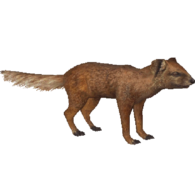 Yellow Mongoose (DutchDesigns) | ZT2 Download Library Wiki | Fandom