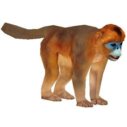 Golden Snub-nosed Monkey (Holden) | ZT2 Download Library Wiki | Fandom