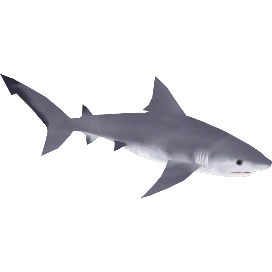 Speartooth Shark (Buffzoo & Lgcfm) | ZT2 Download Library Wiki | Fandom