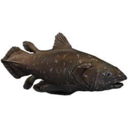 Lobe Finned Fish Vs Ray Finned Fish