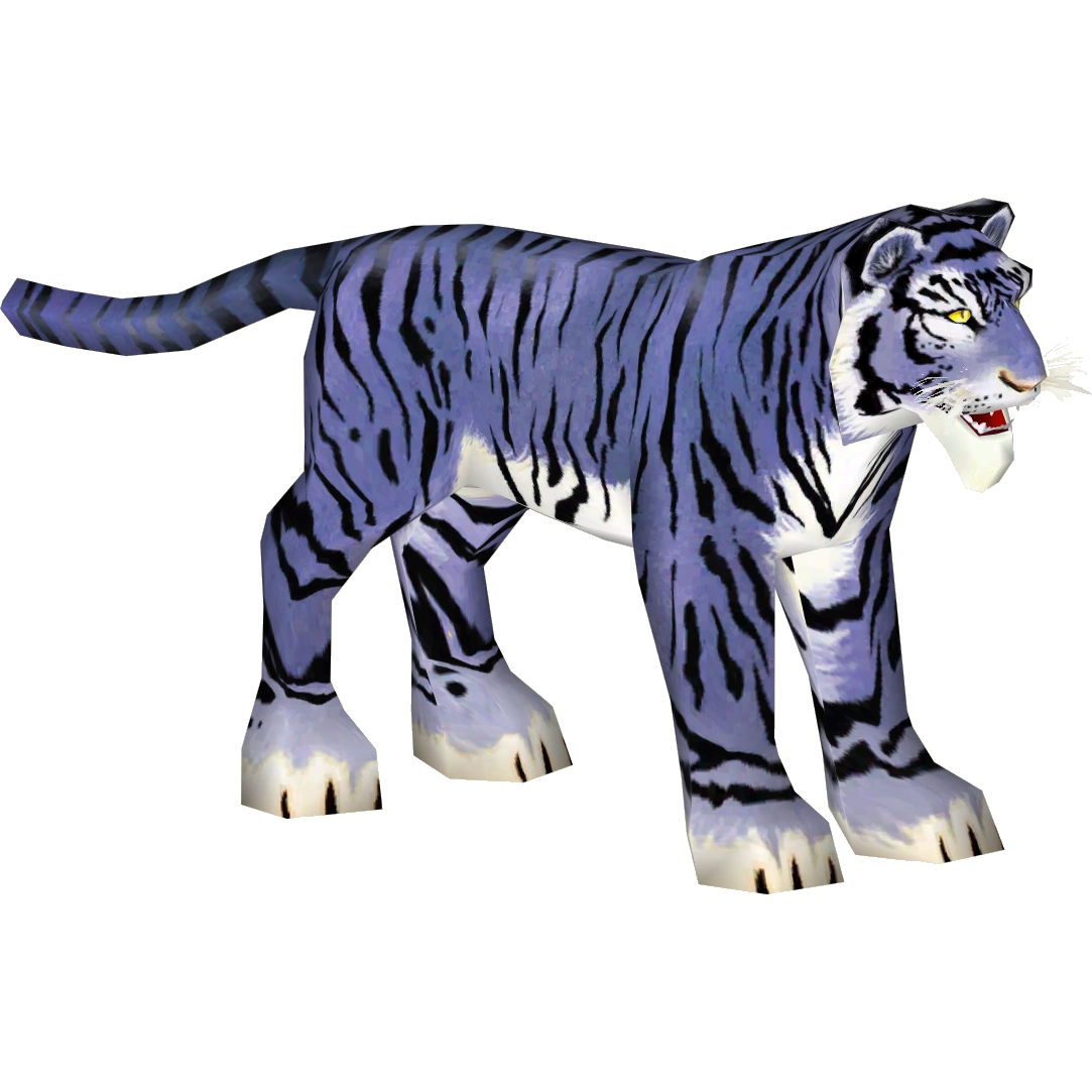 Maltese Tiger