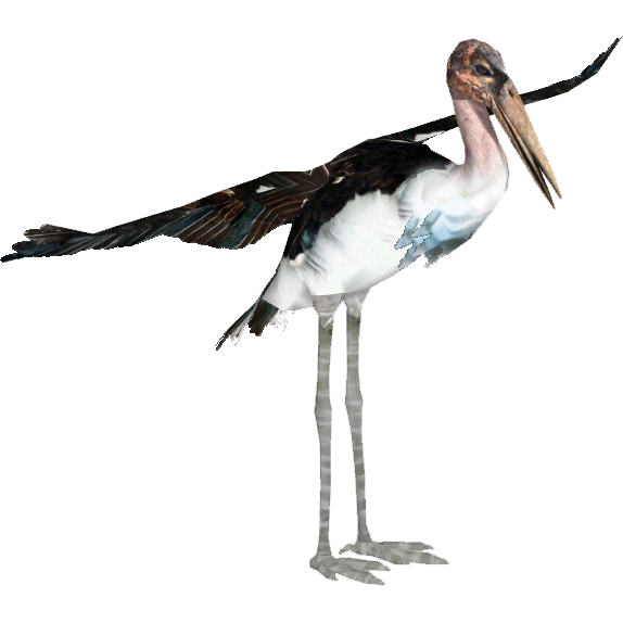 Marabou Stork (Bahia46, Deinonychus 110, Eryel & Manuel) | ZT2 Download ...