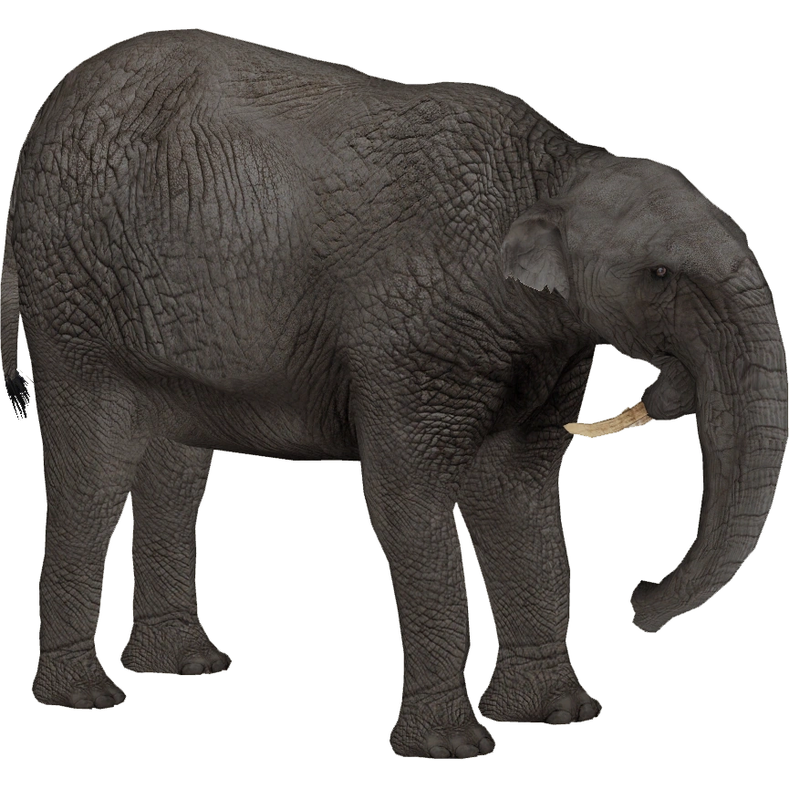 Prodeinotherium (Demon Hunter) | ZT2 Download Library Wiki | Fandom