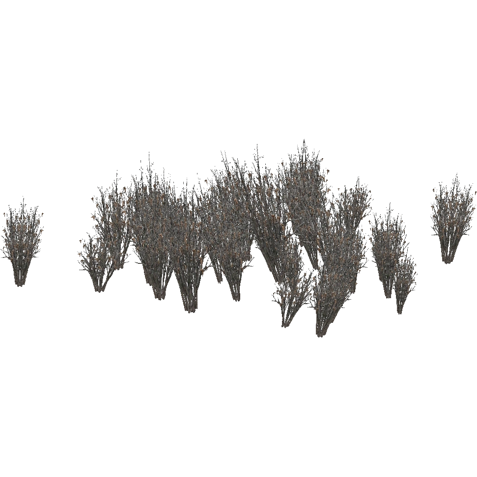 Willow Thicket Shelter (Whalebite) | ZT2 Download Library Wiki | Fandom